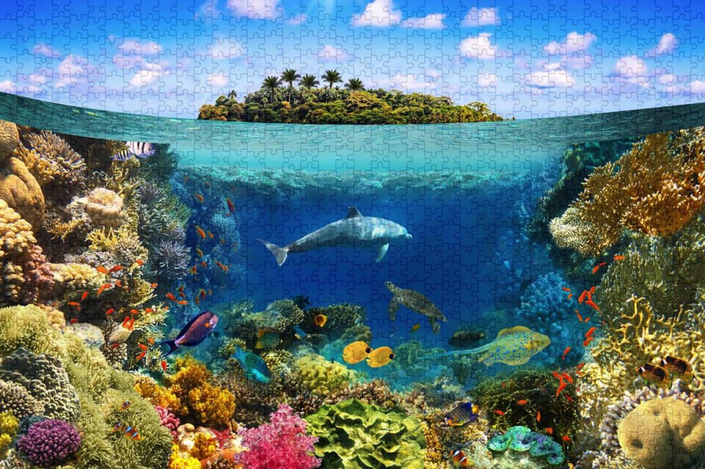 Underwater Fish Puzzle ~ 1000 Piece Puzzles - Made in Australia